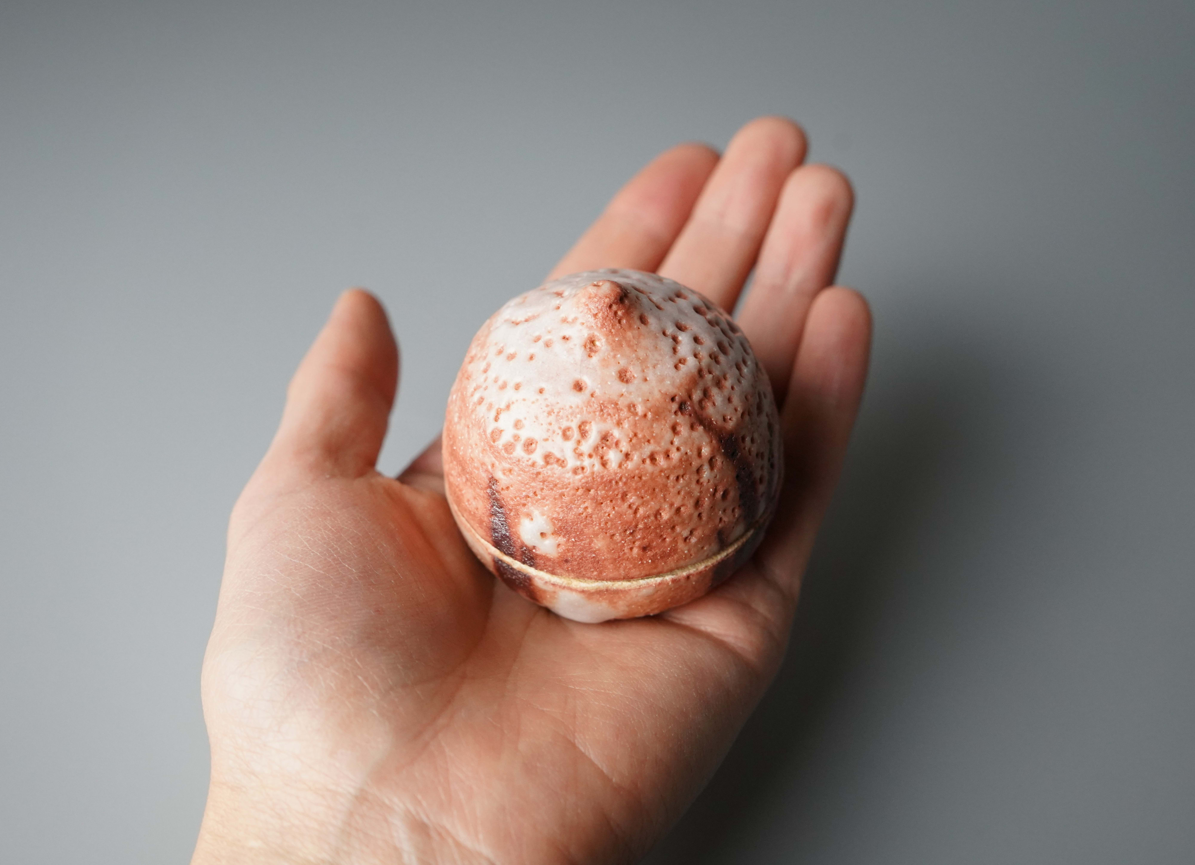 Wakao Toshisada 若尾利貞, Shino Incense Box 志野香合 | Dai Ichi Arts | Japanese Modern Art