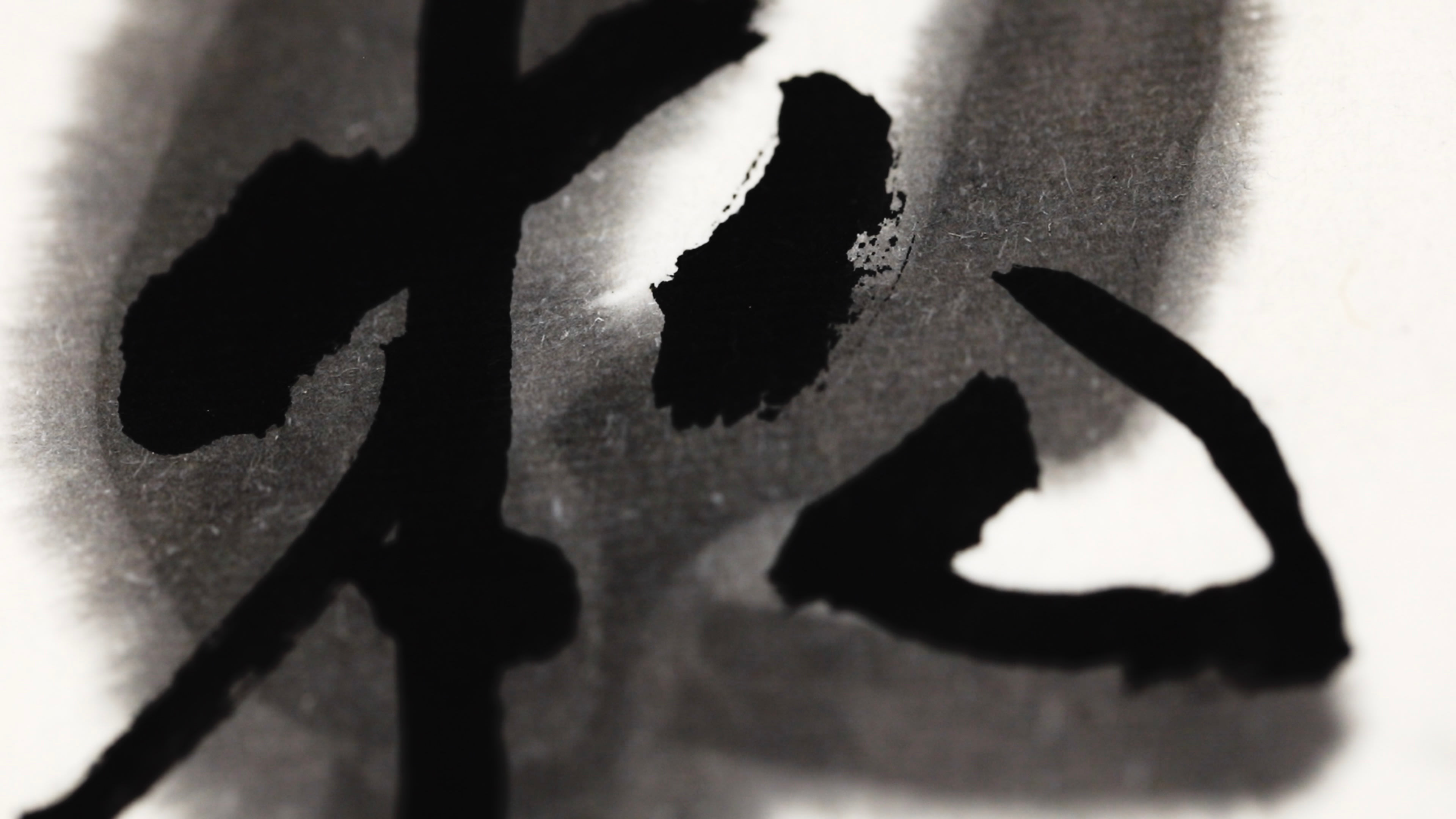 Ali Kazma, INKMAN, 2025 | Galeria Francisco Fino