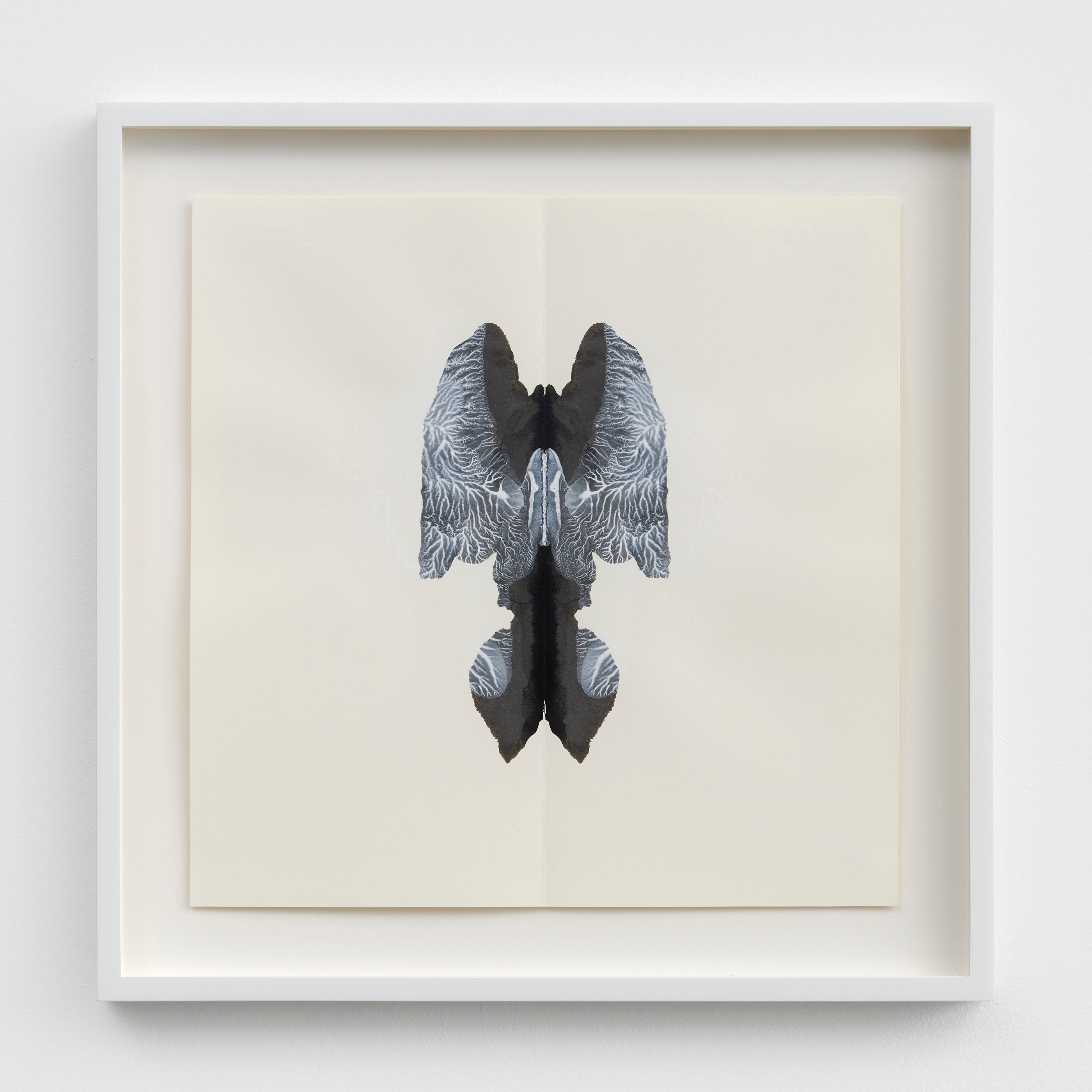 CORNELIA PARKER, Poison and Antidote Drawing, 2010 | Frith Street Gallery