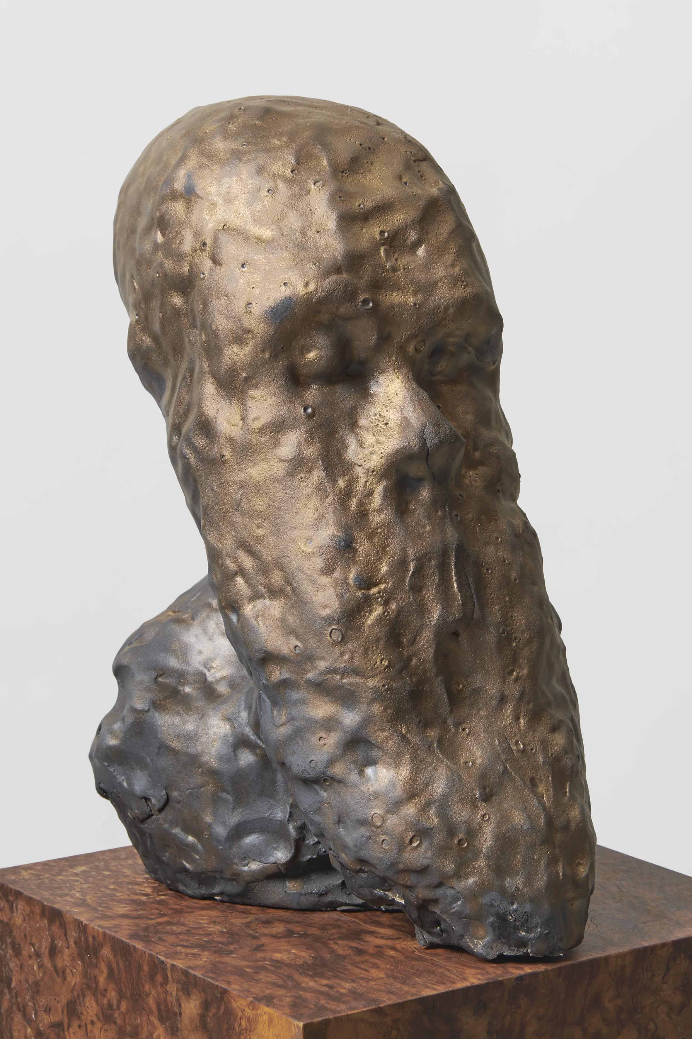 DANIEL SILVER, Golden bronze, 2021 | Frith Street Gallery