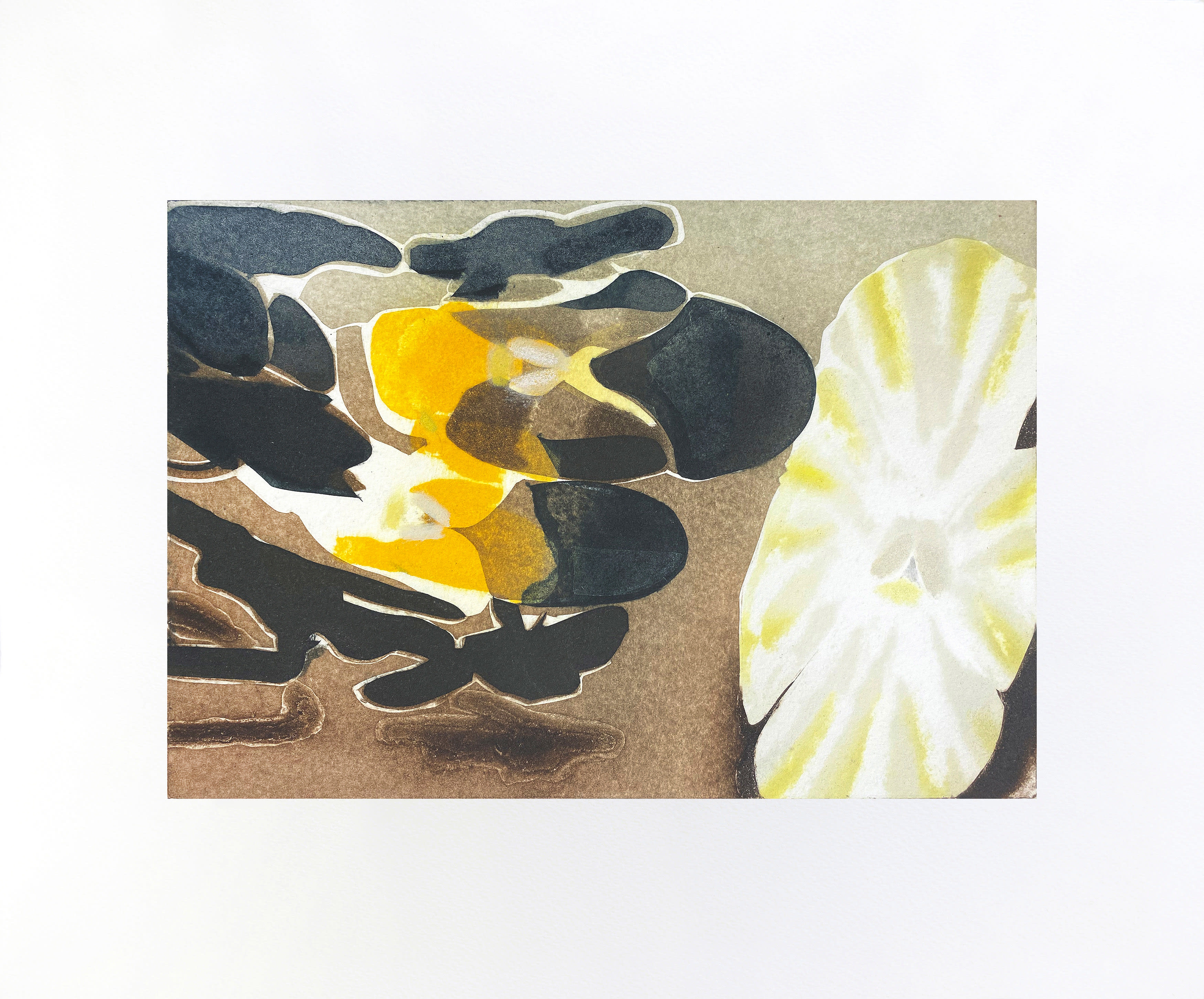 Katherine Jones, Secrets of the Sun, 2024 | shop.glasgowprintstudio.co.uk