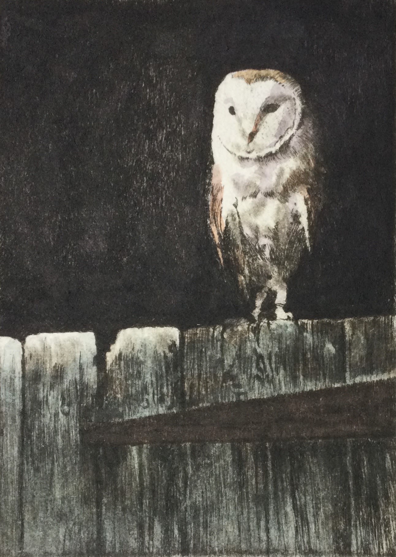 Gregory Moore, Barn Owl, 2021 | shop.glasgowprintstudio.co.uk