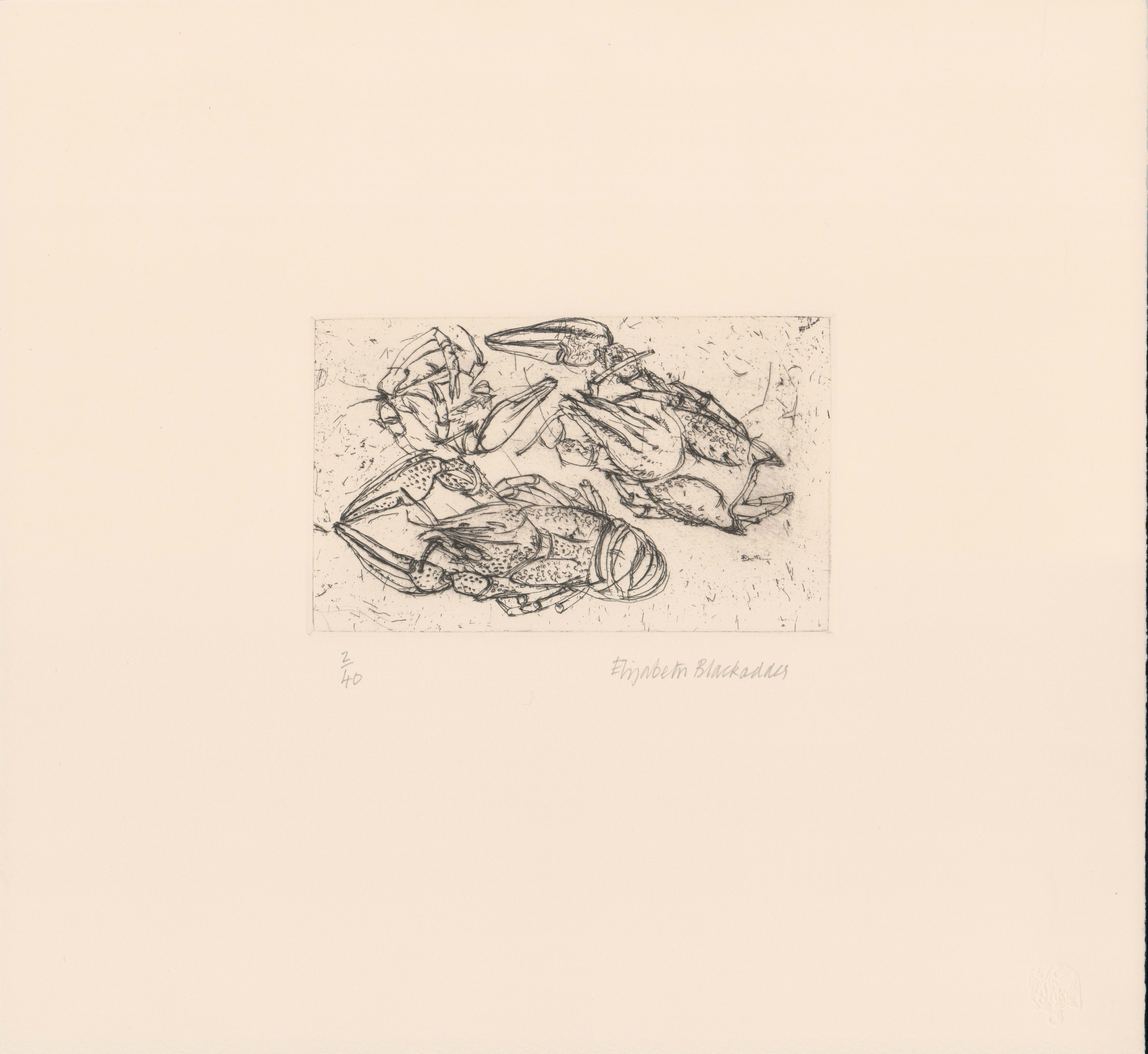 Elizabeth Blackadder, Munida Rugosa, 2013 | shop.glasgowprintstudio.co.uk