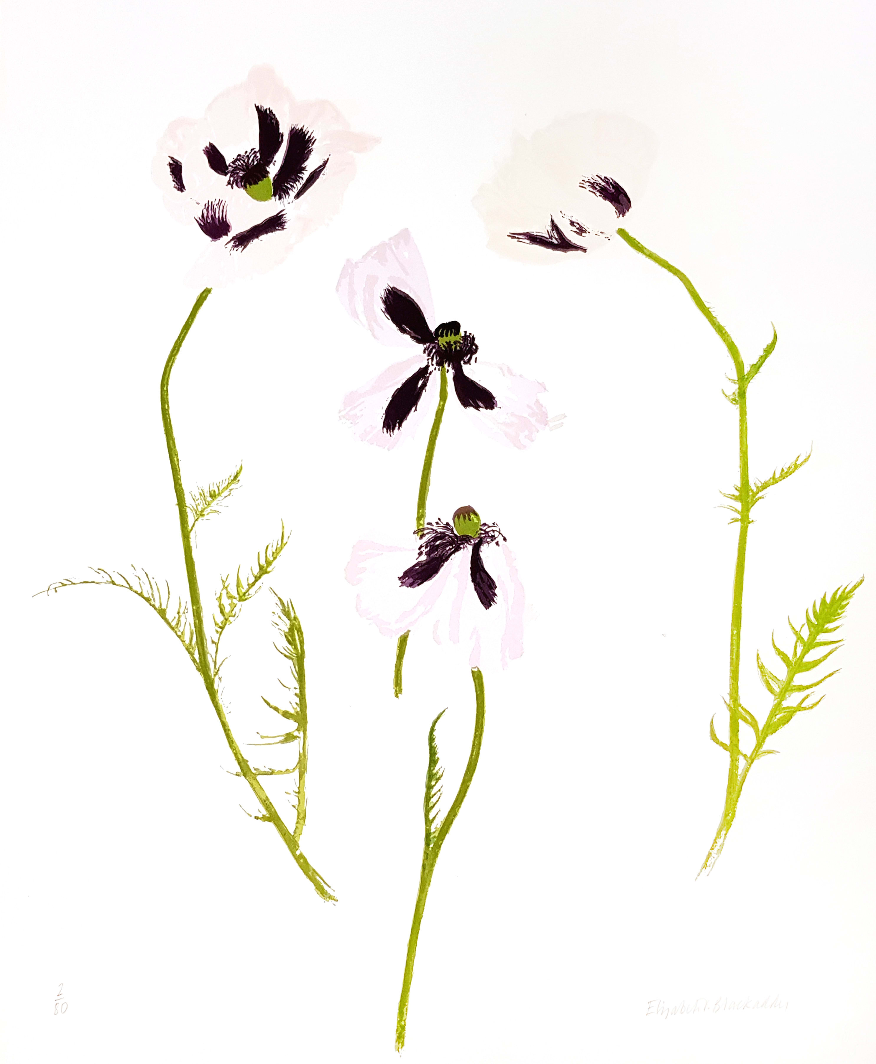 Elizabeth Blackadder, Four Poppies, 2011 | shop.glasgowprintstudio.co.uk