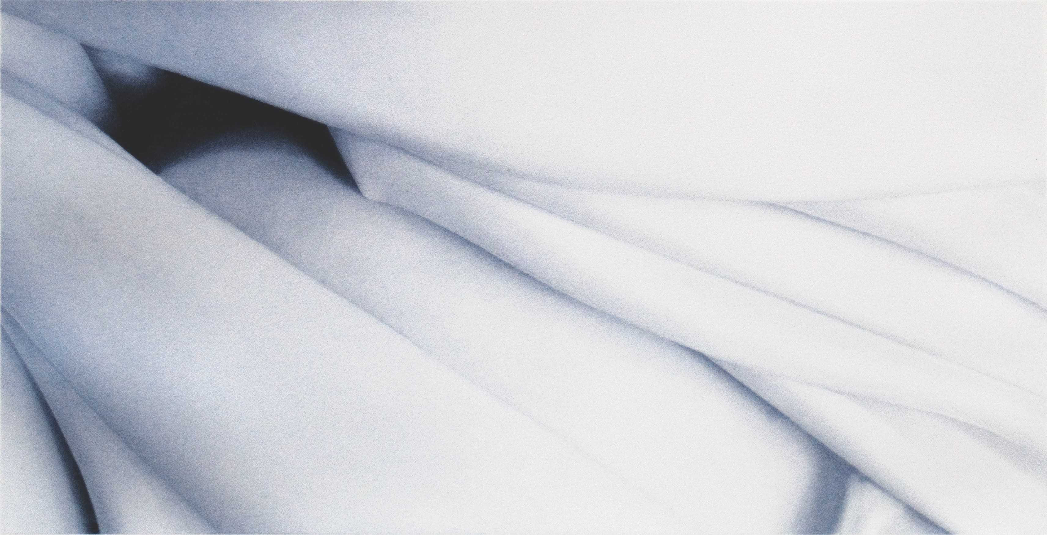 Alison Watt, Shoal, 2013 | shop.glasgowprintstudio.co.uk