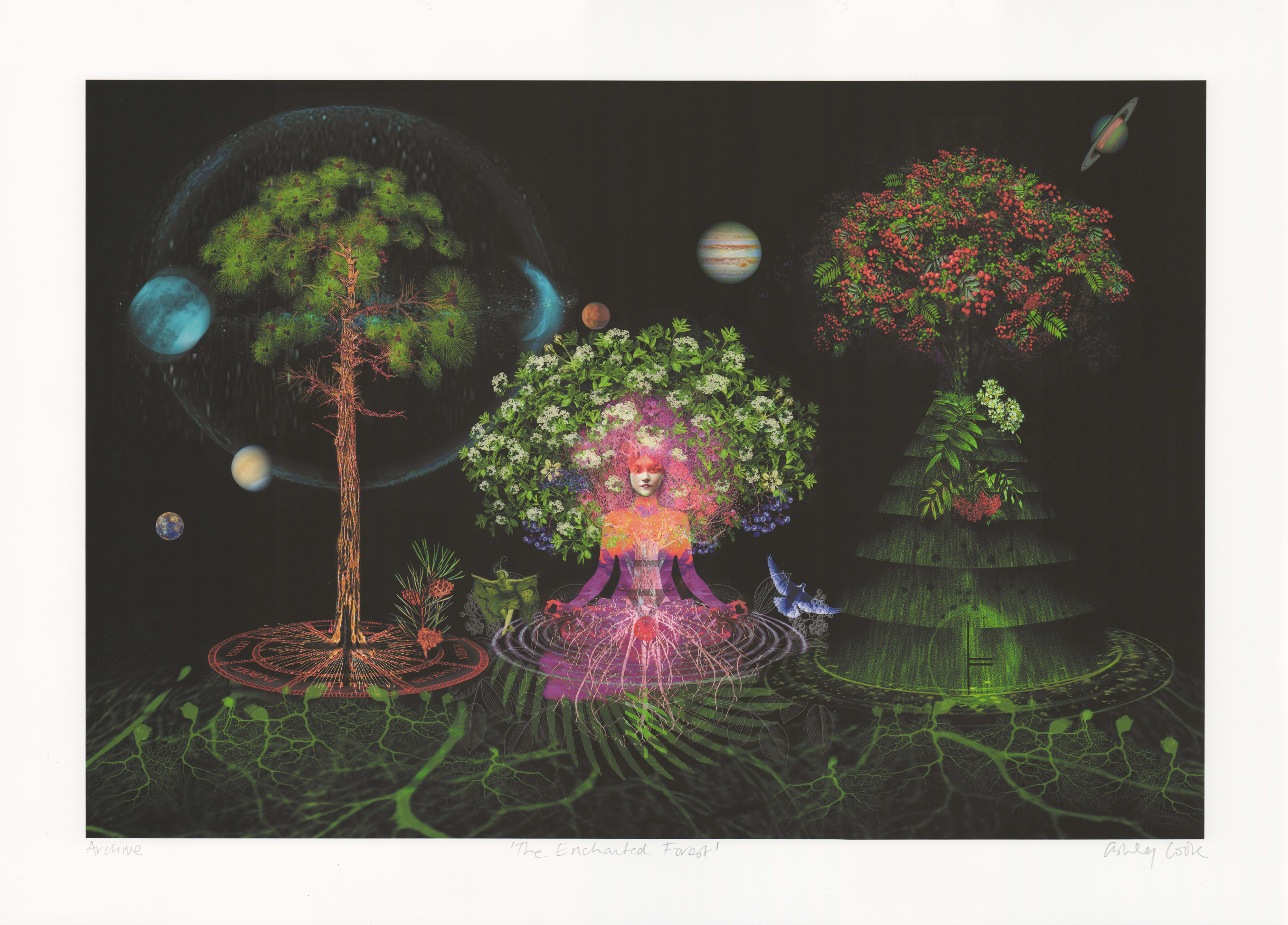 Ashley Cook, The Enchanted Forest, 2022 | shop.glasgowprintstudio.co.uk