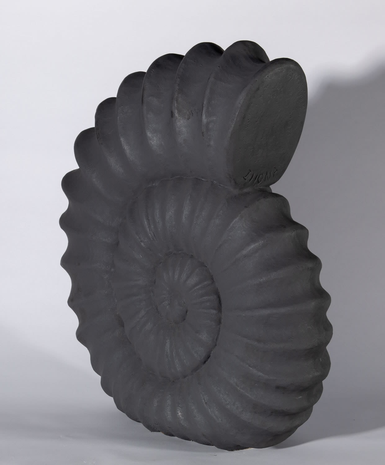 Illona Morrice, Ammonite, 2023 | Kilmorack Gallery
