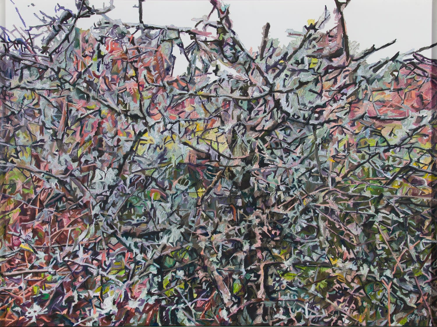 Patricia Paolozzi Cain, Complex Drawing, 2023 | Kilmorack Gallery