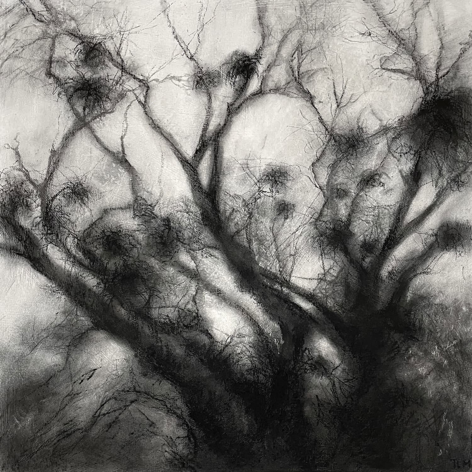 Tansy Lee Moir Burbelt 2025 Kilmorack Gallery