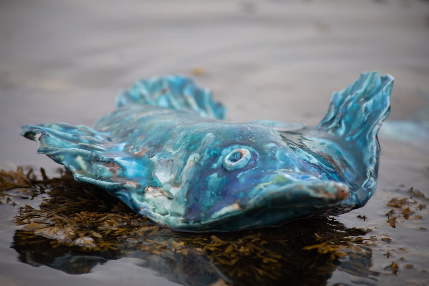 Lotte Glob, Flying Creature 1, 2022 | Kilmorack Gallery