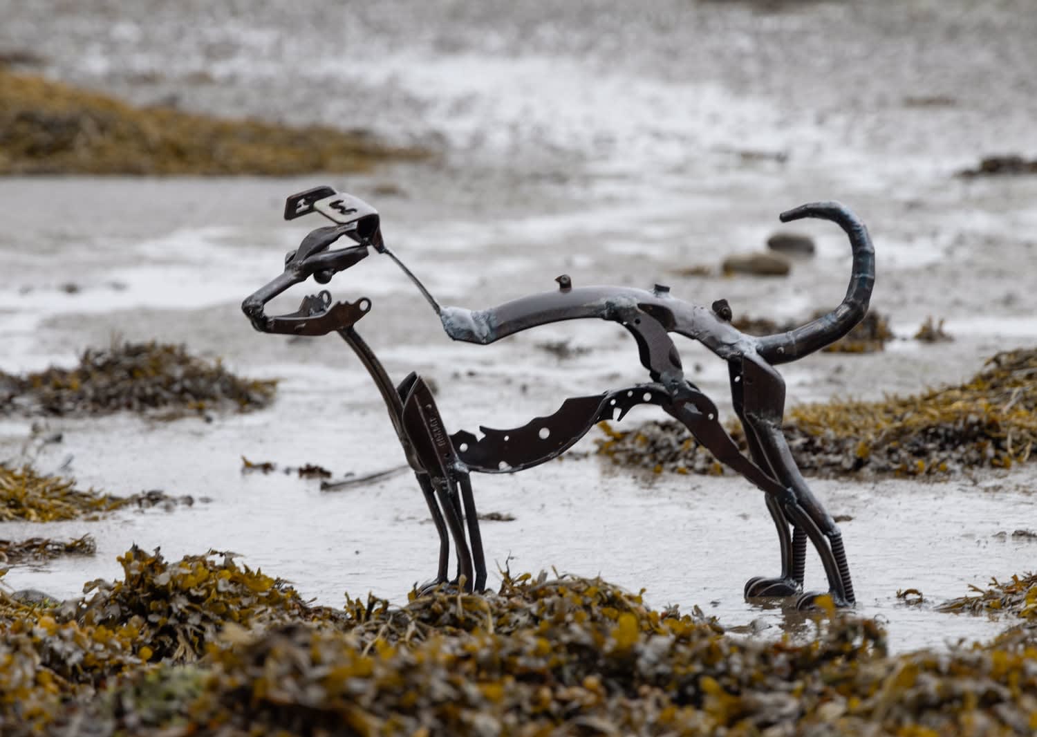 Helen Denerley, Jack Russell, 2024 | Kilmorack Gallery