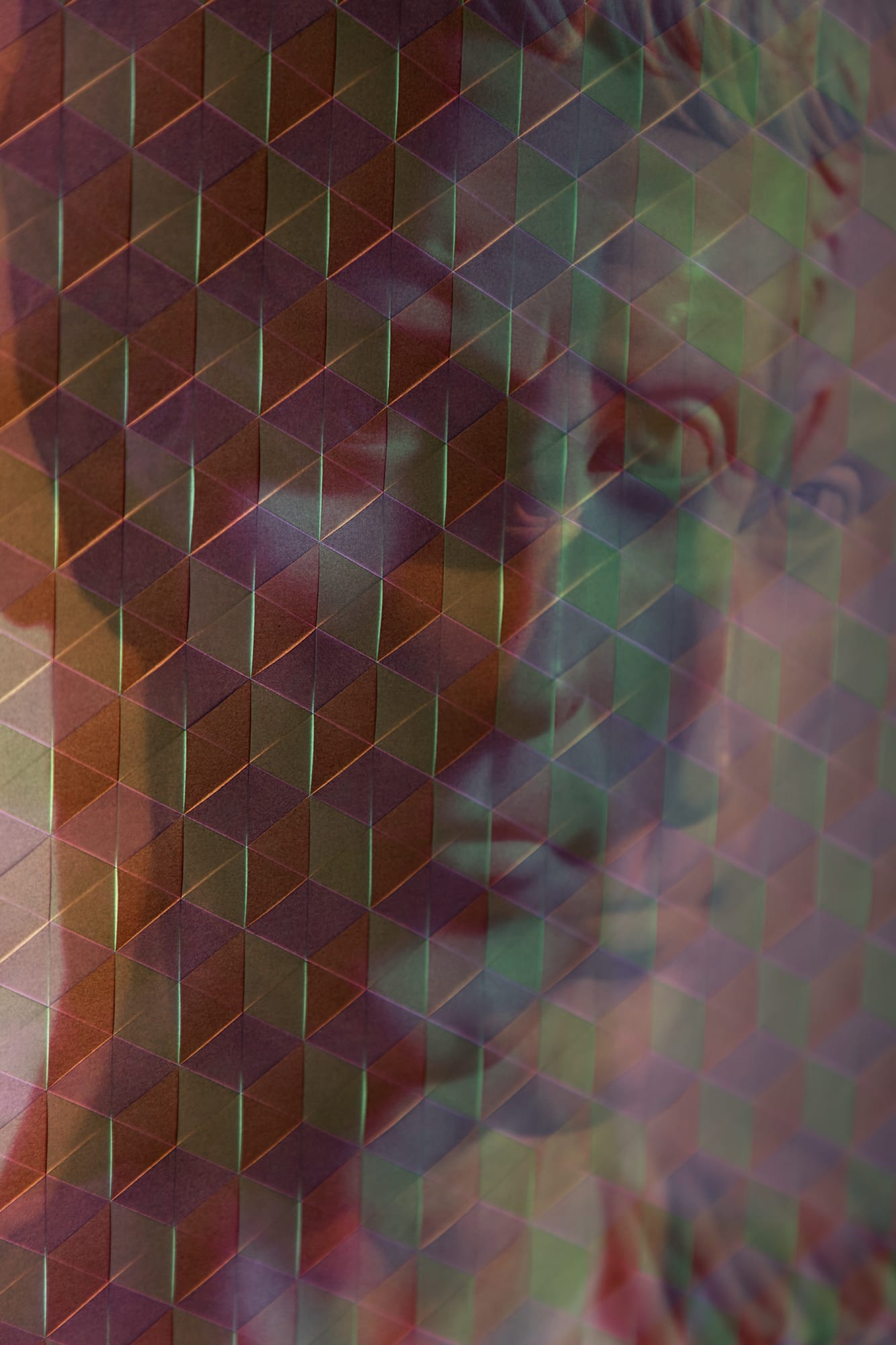 David Samuel Stern, Woven Portrait of Julius Caesar (after Andrea ...