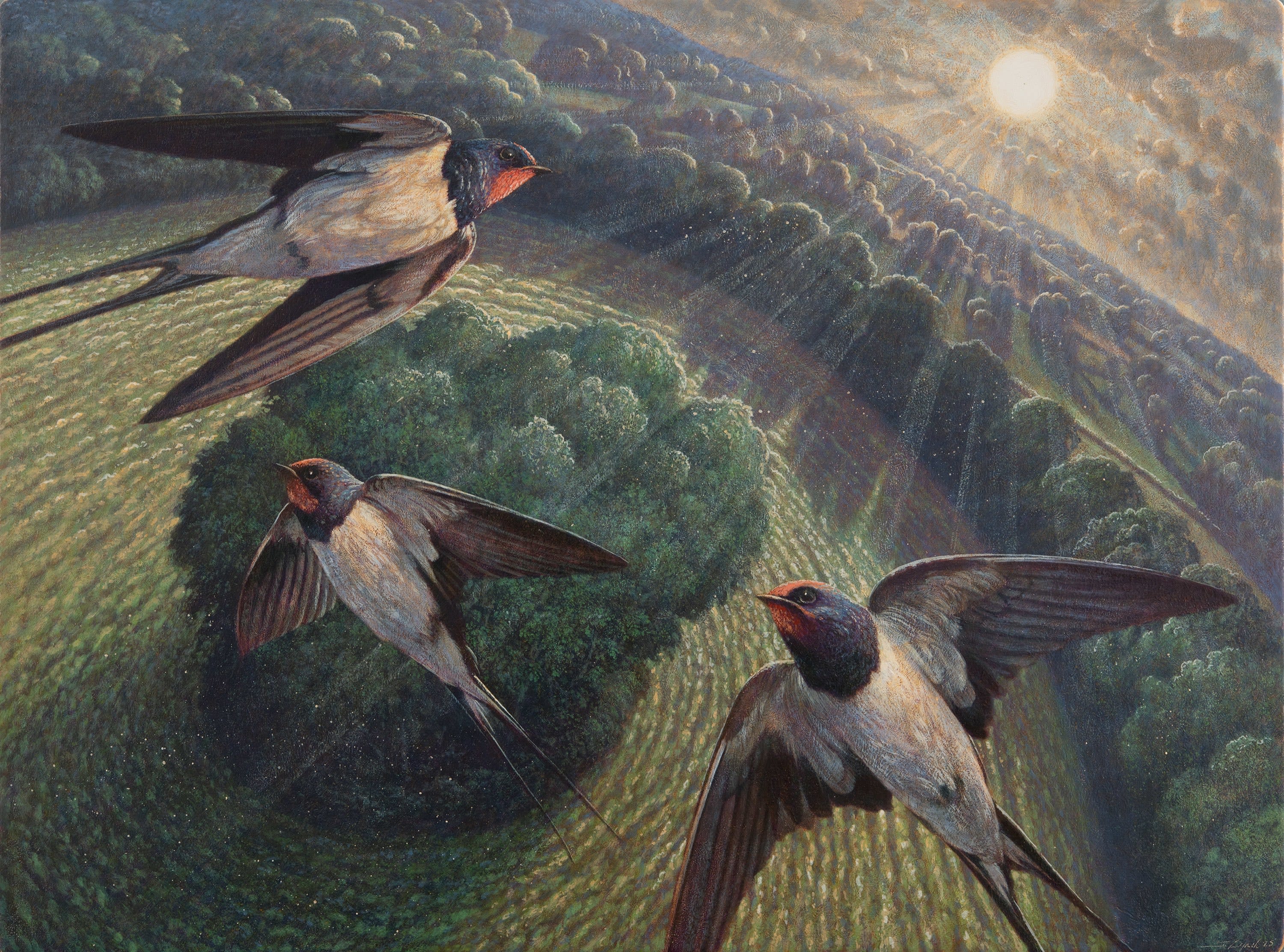 James Lynch, Three Swallows, Horse Hill, 2025 | Portland Gallery