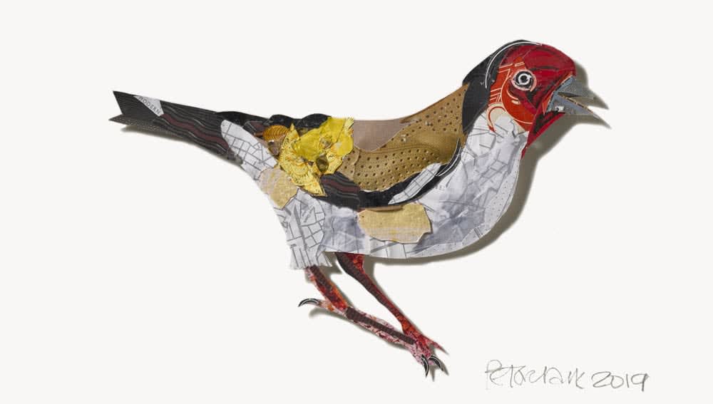 Peter Clark, Goldie | Portland Gallery