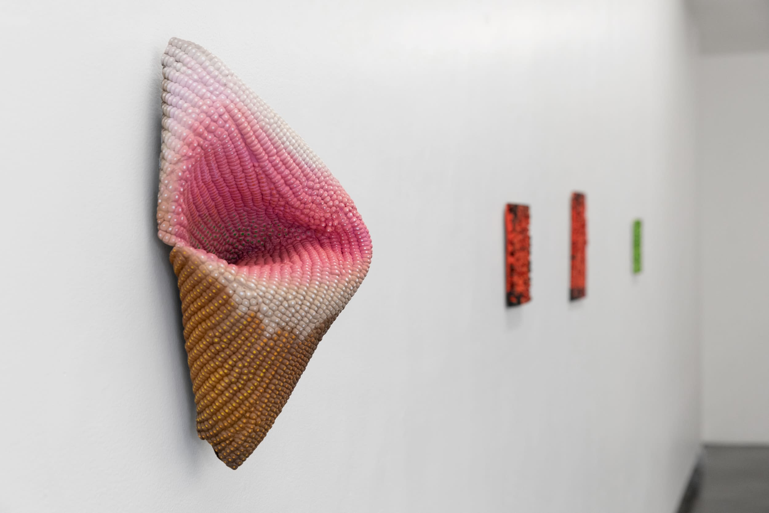 Lucy Kim, Kernel Distortion 1, 2025 | Praise Shadows Art Gallery