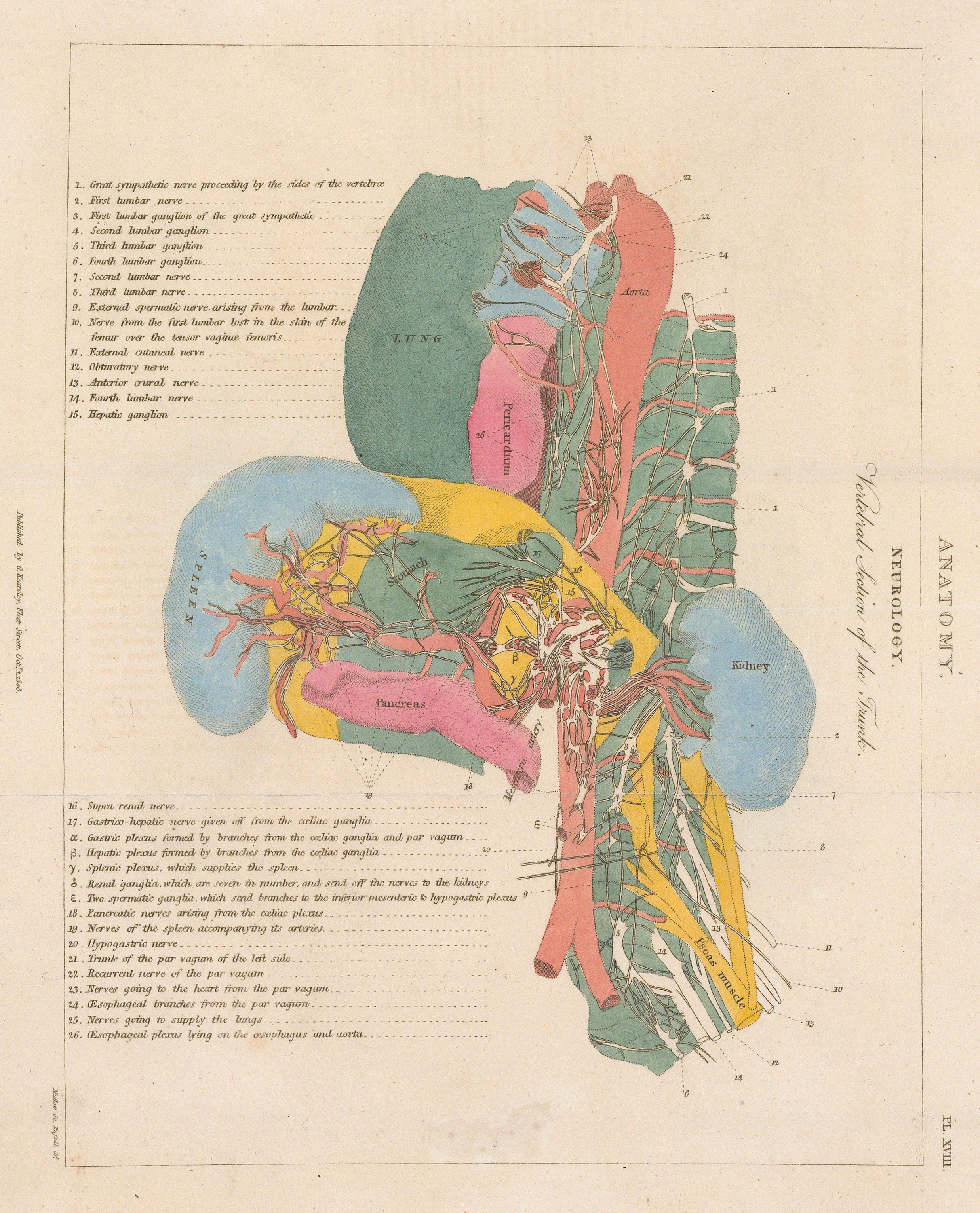 John Good, Anatomy - Neurology, 1813 | The Map House