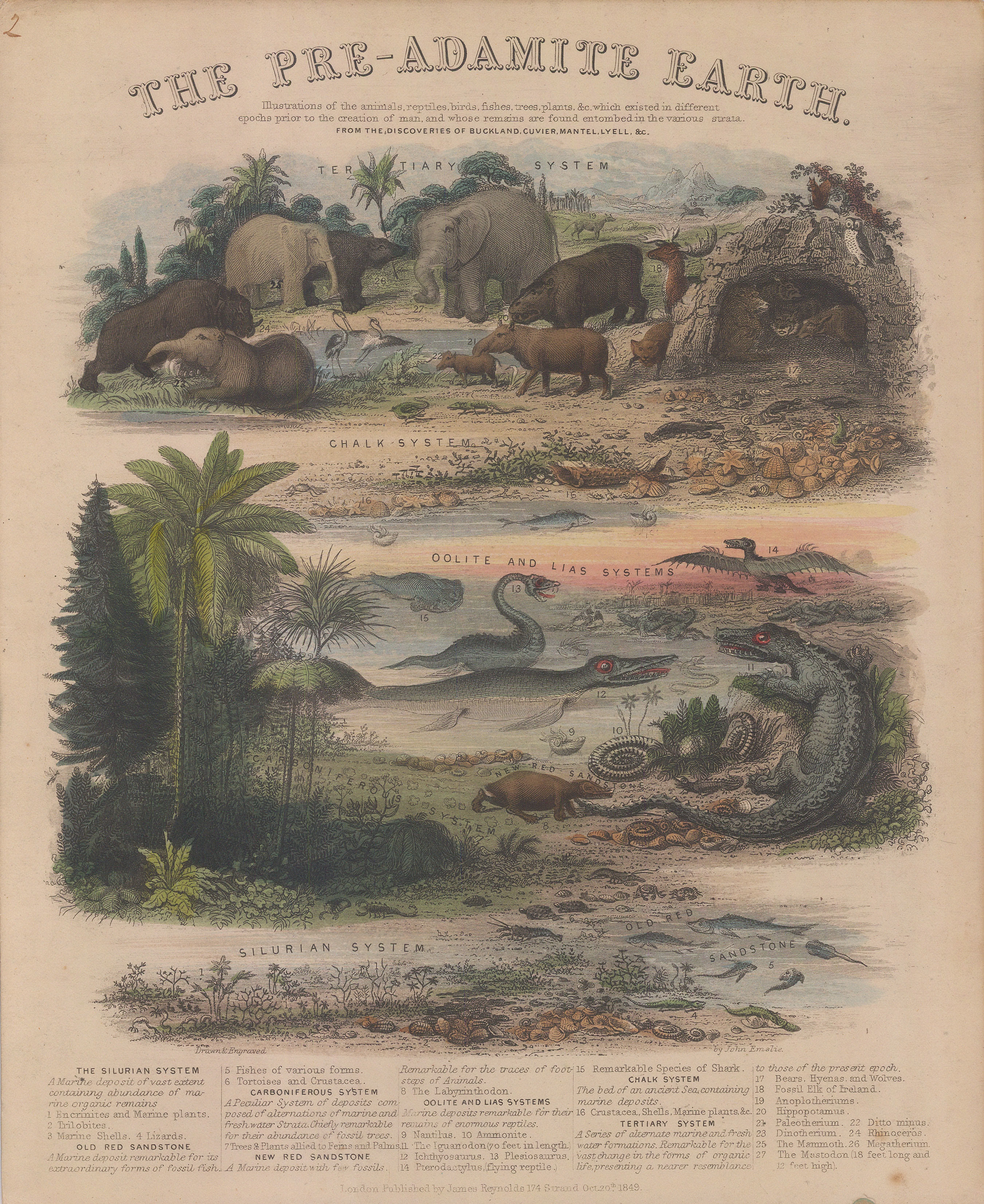 James Reynolds, The Pre-Adamite Earth, 1849 | The Map House