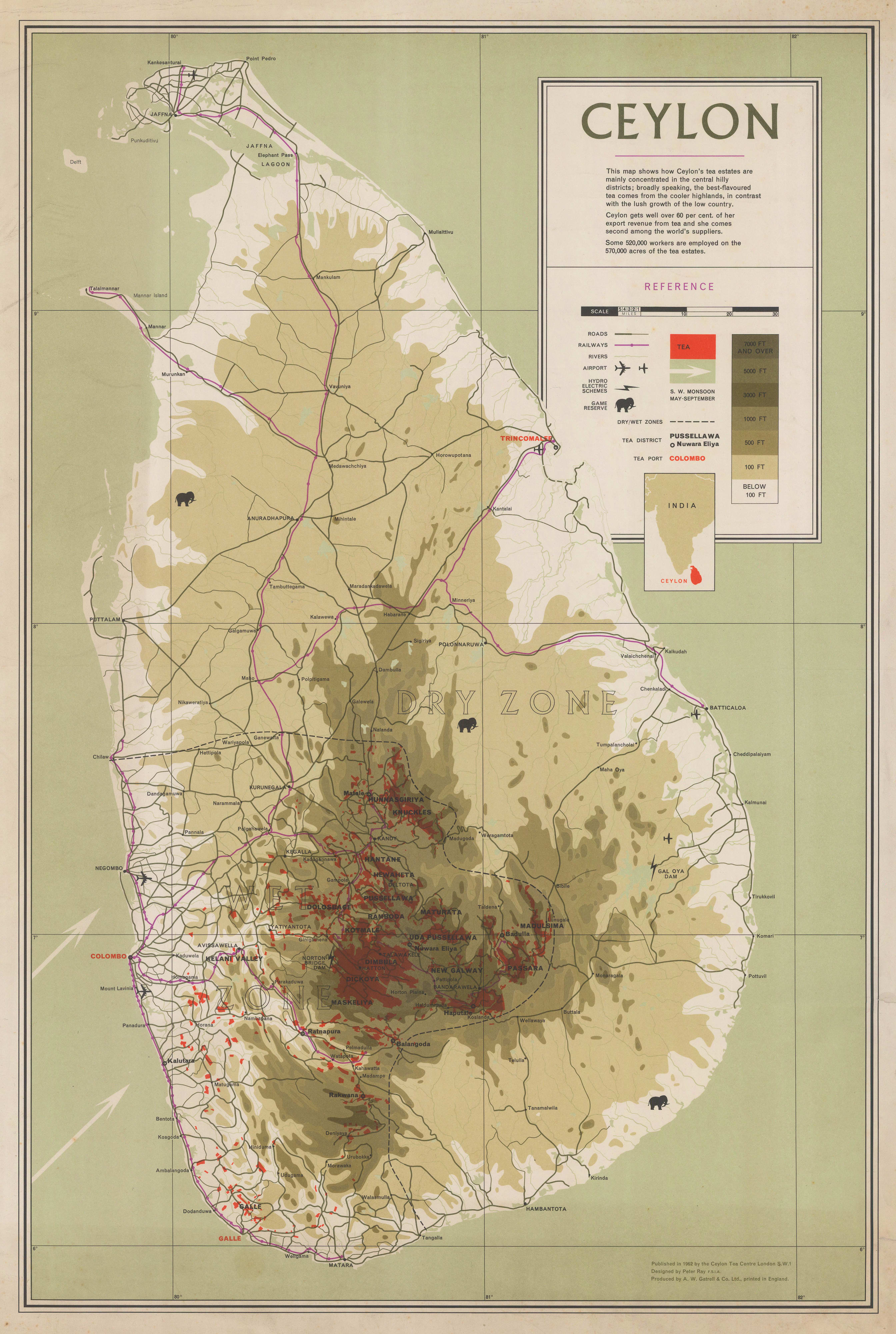 Peter Ray, Tea Production in Sri Lanka, 1962 | The Map House