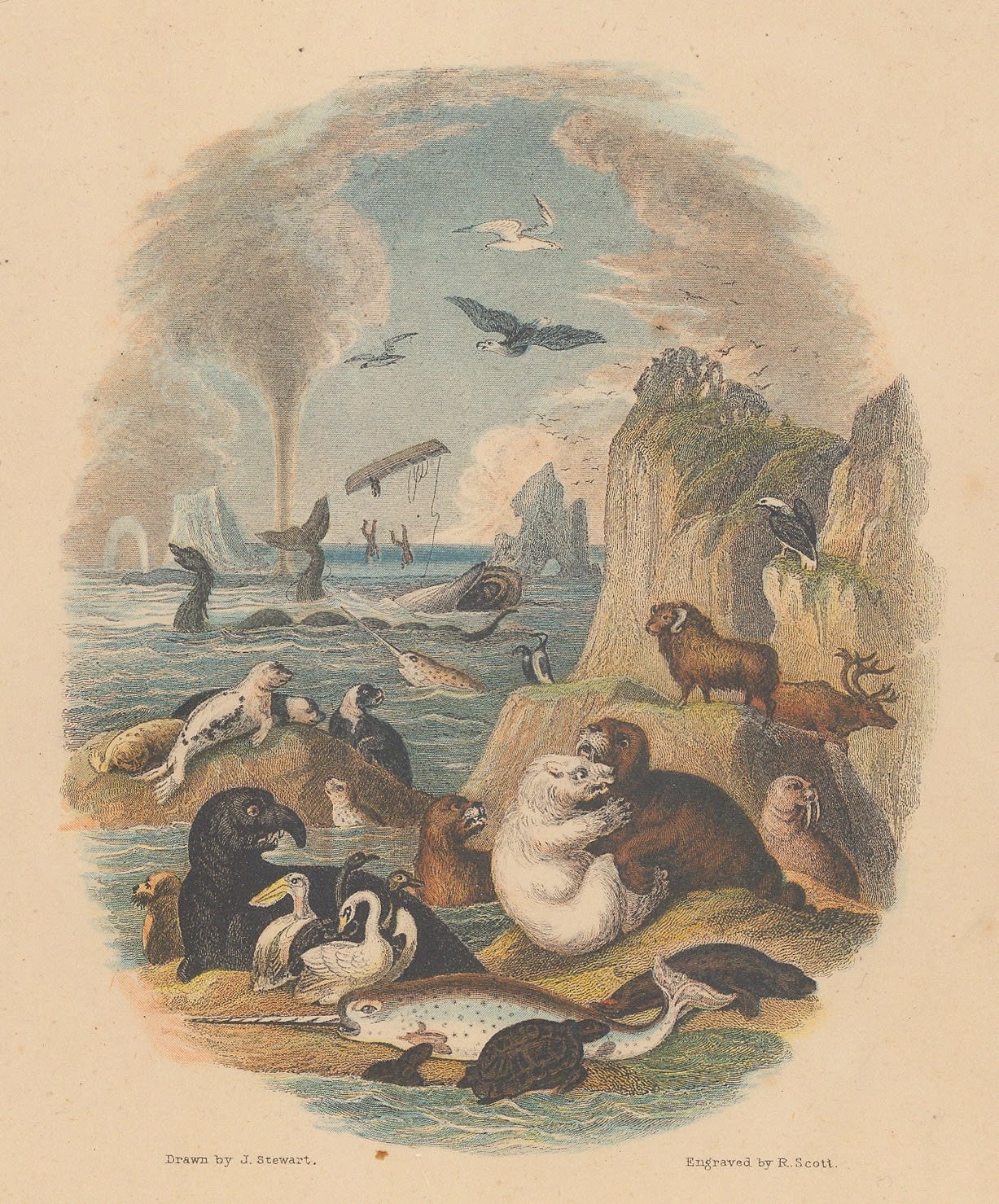 Oliver Goldsmith, Animals, 1876 | The Map House