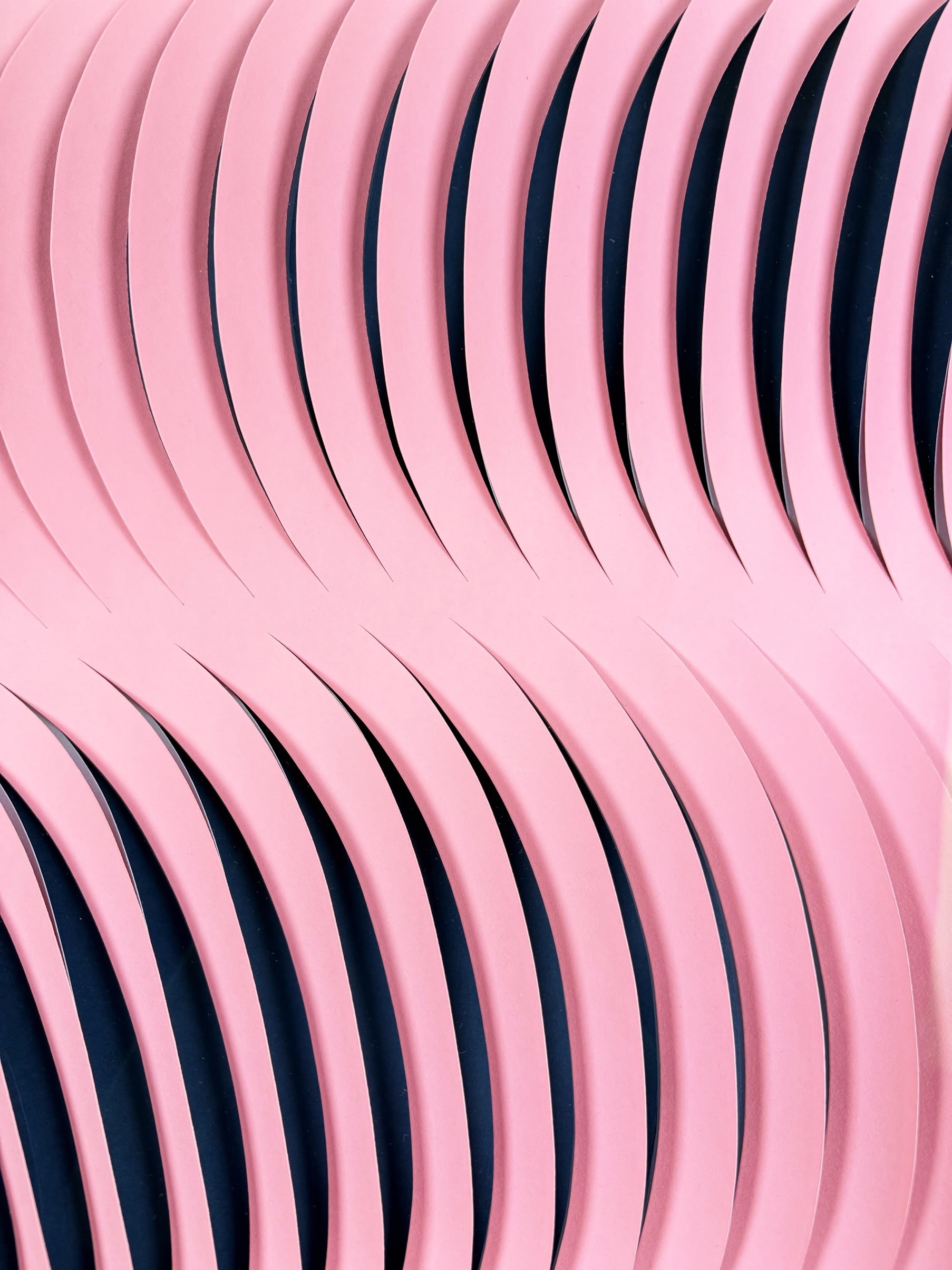 Katherine Anne Rose , Concentric 2 | Cube Gallery