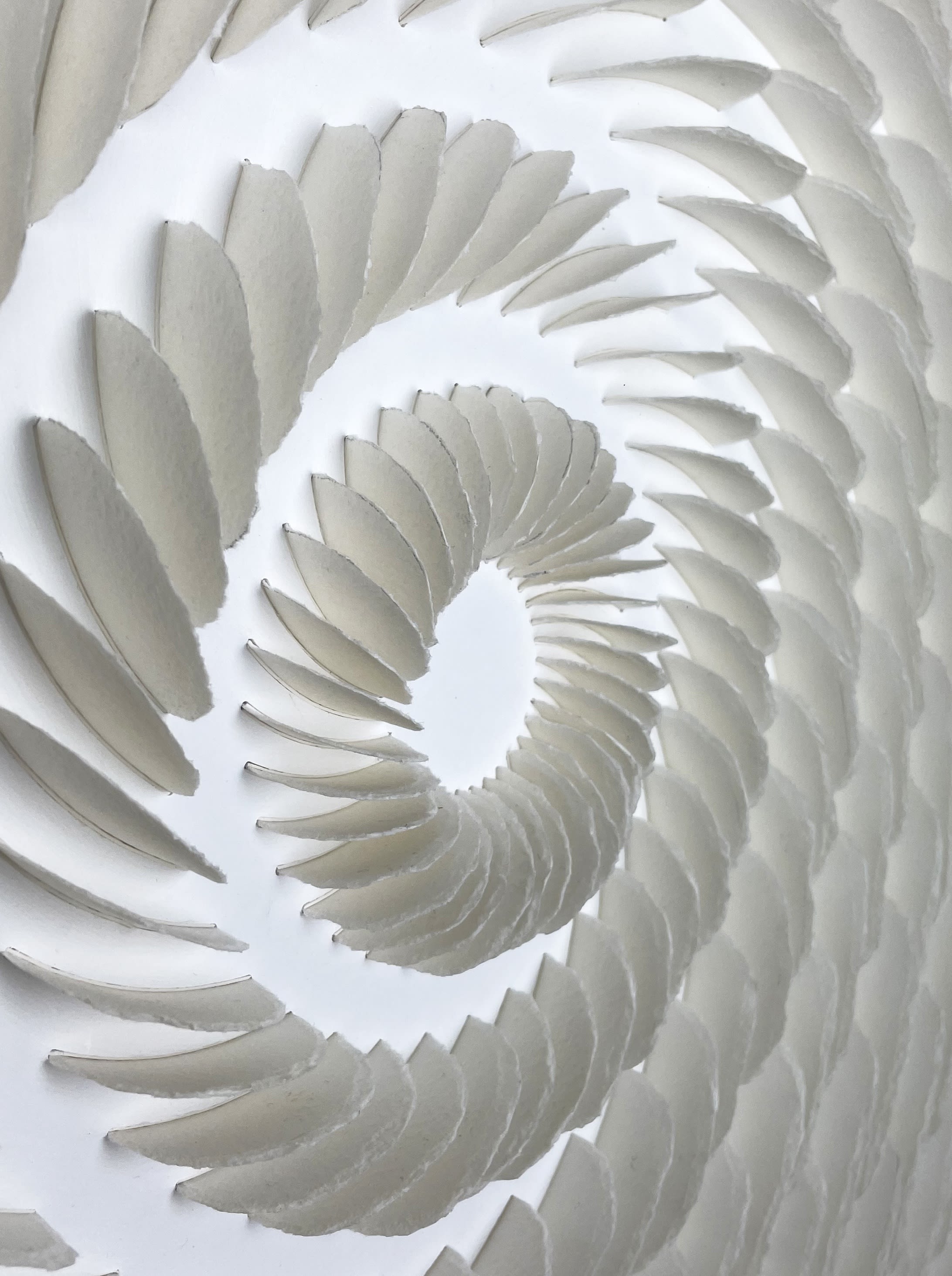 Peter Monaghan, White Pulses | Cube Gallery