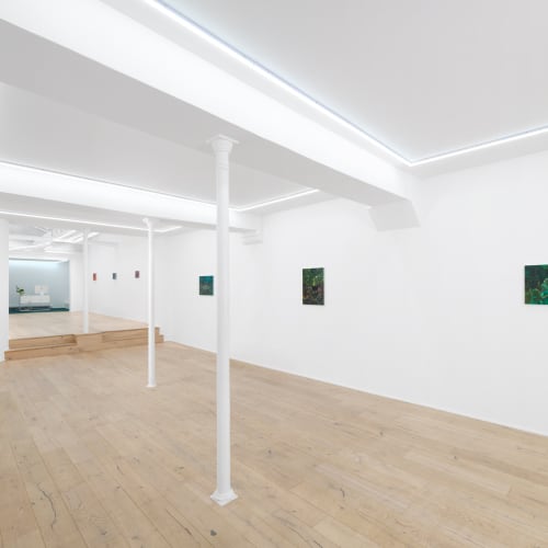 Nightshades at Long Story Short, Paris | DIMIN