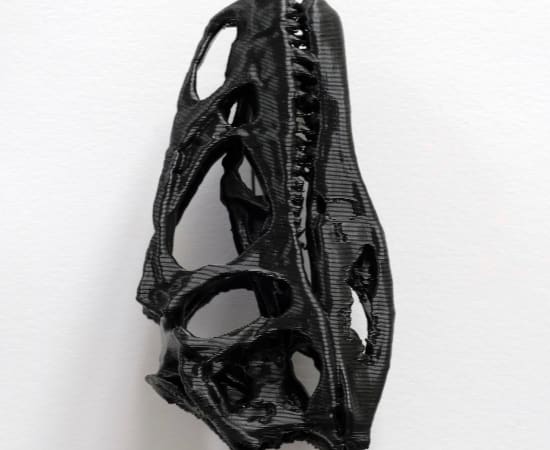 Alan Nguyen | Rademakers Gallery