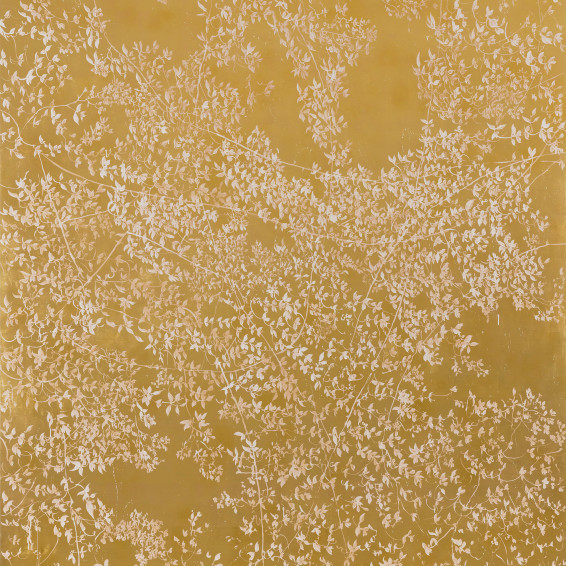 Paintings | Sue Arrowsmith