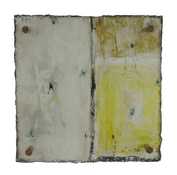 Michelle Y Williams - Artist | Addison Gallery