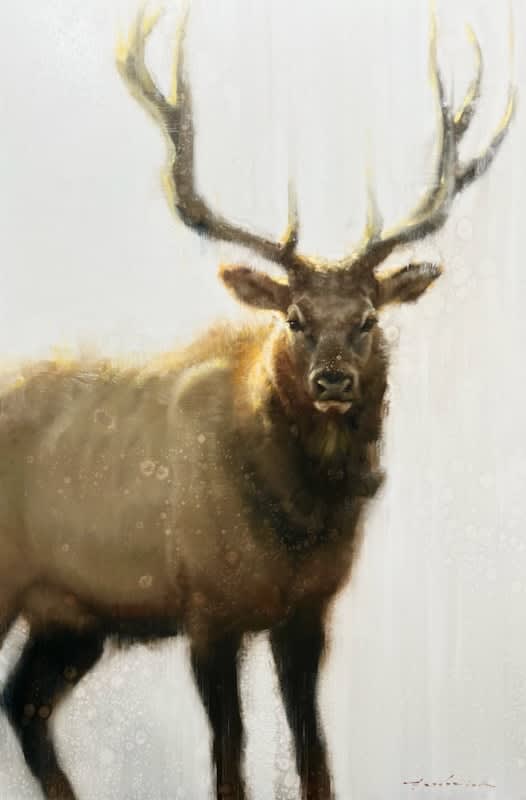 David Riley | Aspen Grove Fine Art