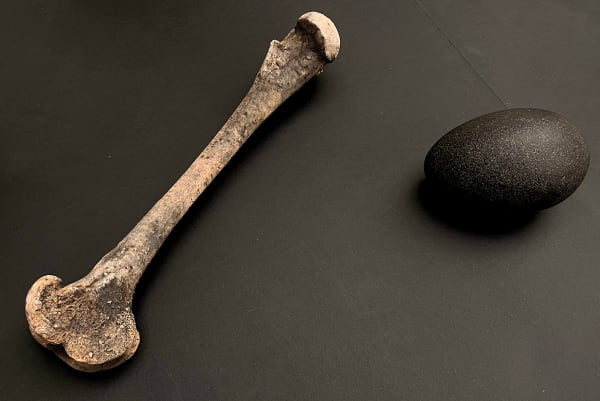 Per B Sundberg | Andréhn-Schiptjenko