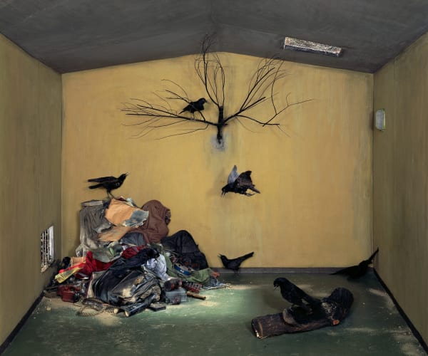 Chen Wei | Ben Brown Fine Arts