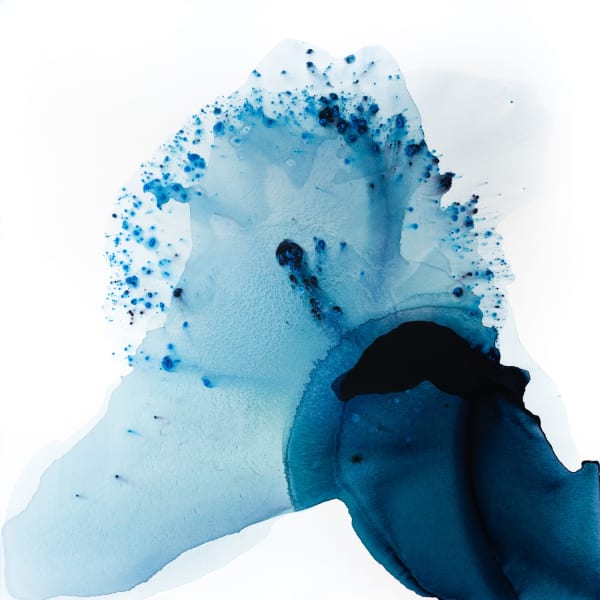 Gallery | Clara Berta