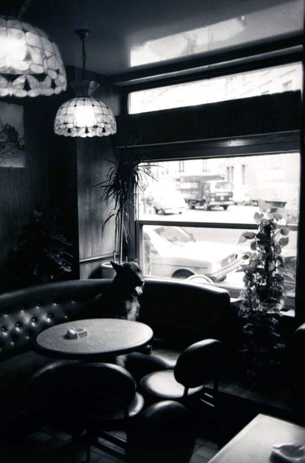 Nigel Scott | Corkin Gallery