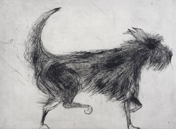 Kate Boxer Works | Cricket Fine Art