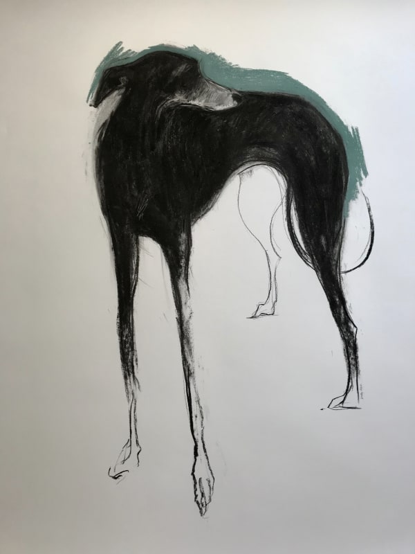 Sally Muir | SEO | Cricket Fine Art