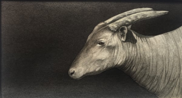 William Spring - Works | Cricket Fine Art