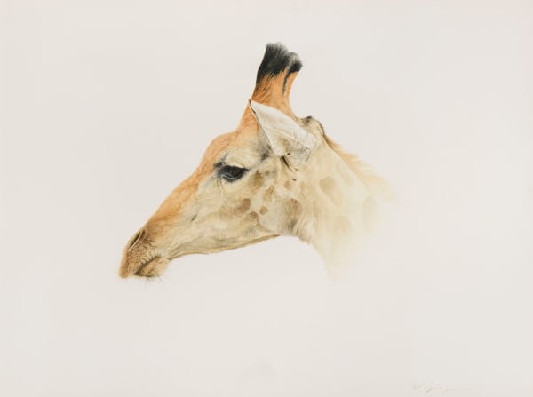 William Spring - Works | Cricket Fine Art