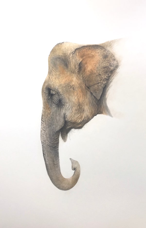 William Spring - Works | Cricket Fine Art