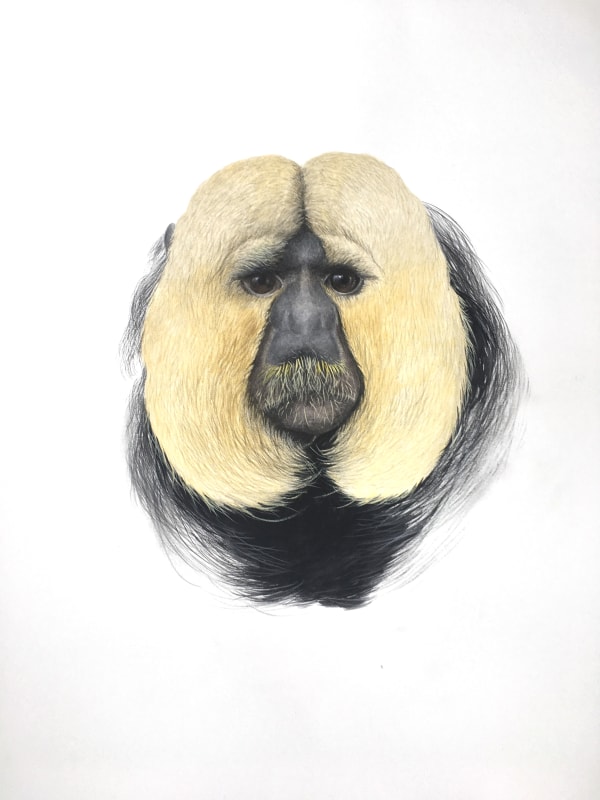 William Spring - Works | Cricket Fine Art