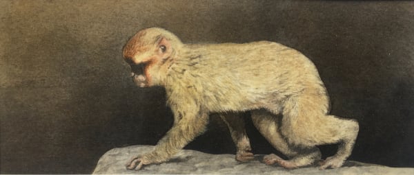 William Spring - Works | Cricket Fine Art