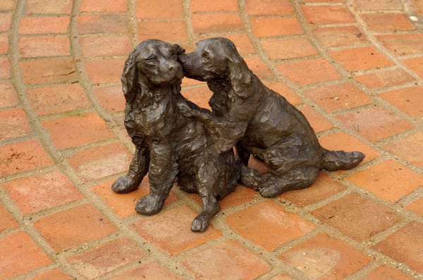 Rosemary Cook Works | Cricket Fine Art