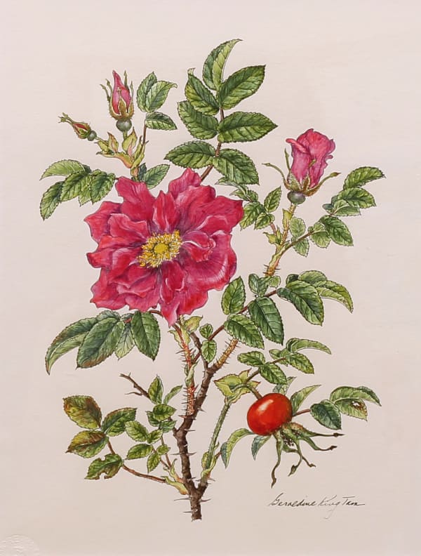 Works - Maine Masters of Modernism | Elizabeth Moss Galleries