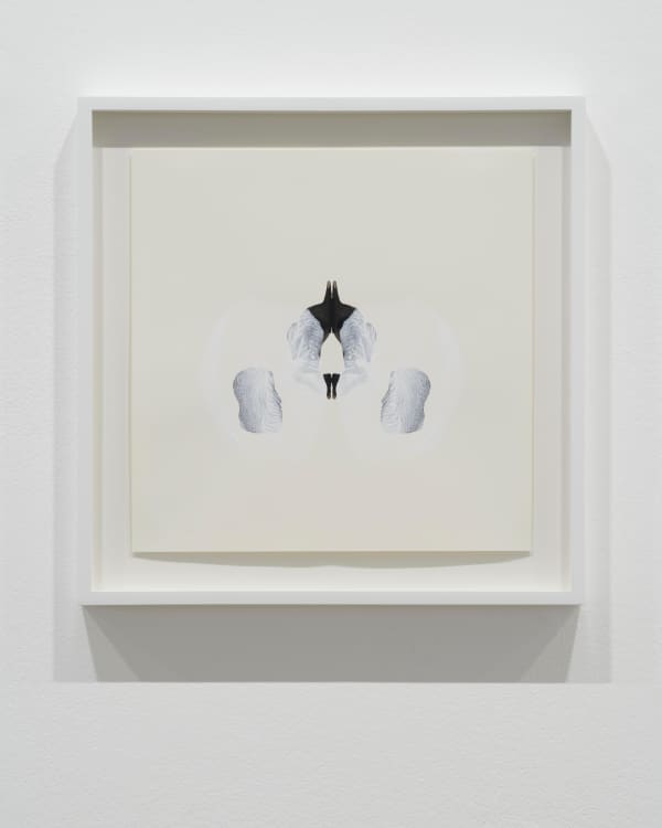 1 Jul - 13 Aug 2022 | Frith Street Gallery