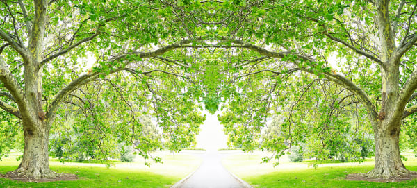 Laurie Victor Kay photography | Gilman Contemporary Sun Valley, ID