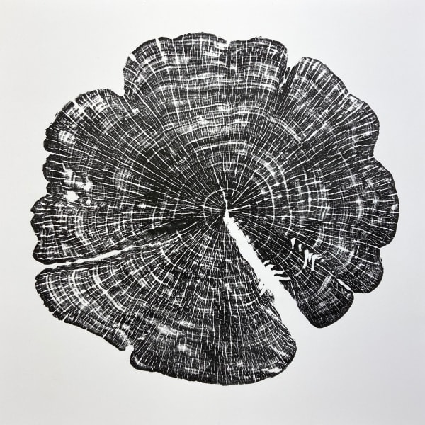 Artists | shop.glasgowprintstudio.co.uk