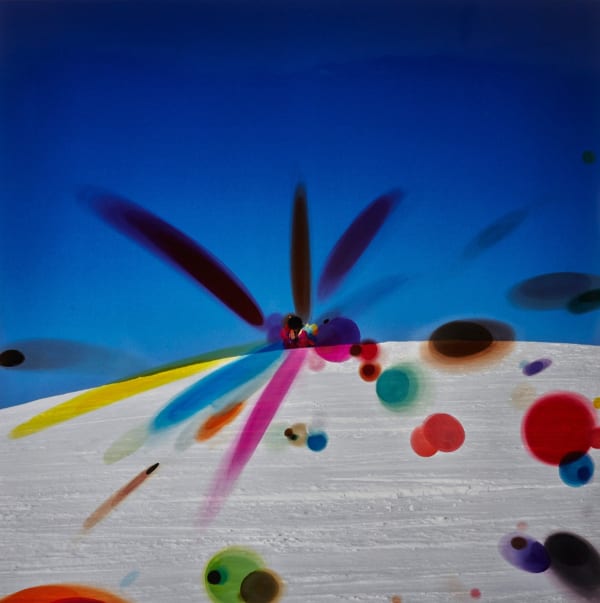 Sebastiaan Bremer - Works | Hales Gallery