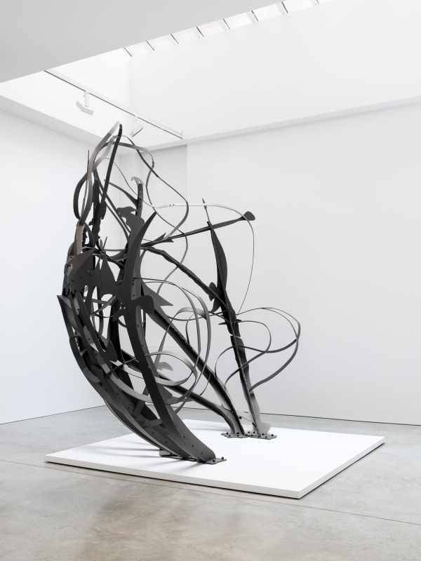 Matthew Ritchie: A Garden in the Machine | September 10 - October 15 ...