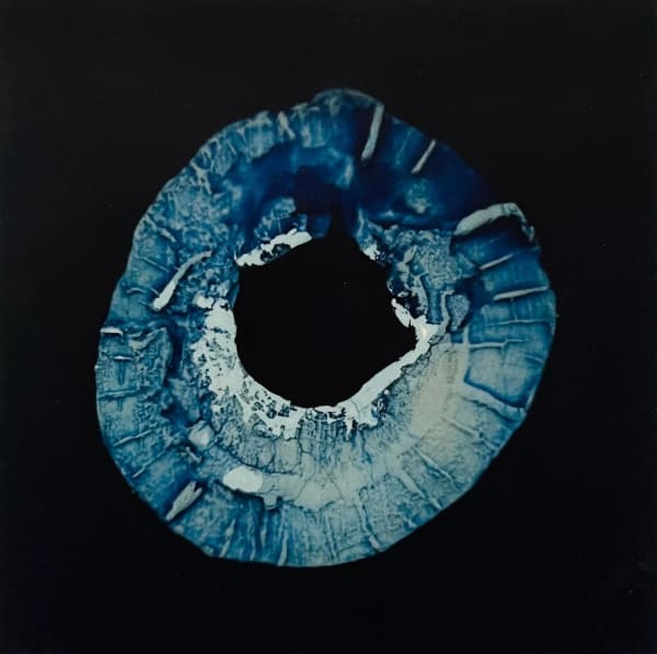 Mayme Kratz | January 4 - February 22, 2025 | Lisa Sette Gallery