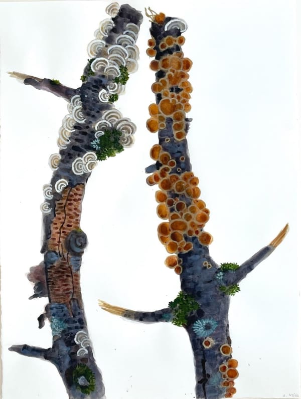 Katie DeGroot - Works | Markel Fine Arts